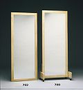 Treatment Mirrors | ANSI Safety Glass | Therapy Mirrors | Glassless ...