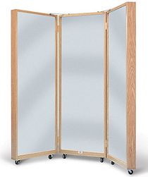 Treatment Mirrors | ANSI Safety Glass | Therapy Mirrors | Glassless ...