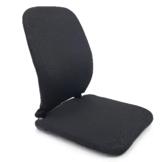 Sacro Deluxe Lumbar Support Seat Cushion with Coccyx Cutout by McCartys ...