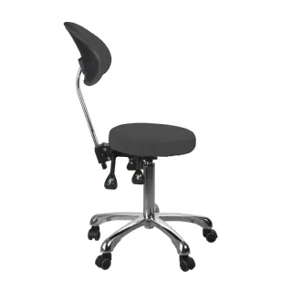 Ergonomic Adjustable Backrest Stool with Chrome Base - 1025B by Silverfox