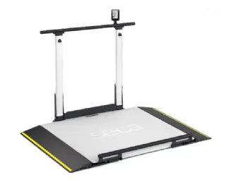 Wheelchair Bariatric Scale - XLine and XHold by Seca Scales