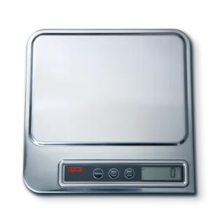 Seca 856 Stainless Steel Digital Organ Scale