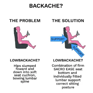 Sacro Premium Lumbar Support Seat Cushion for Back Pain Relief and ...