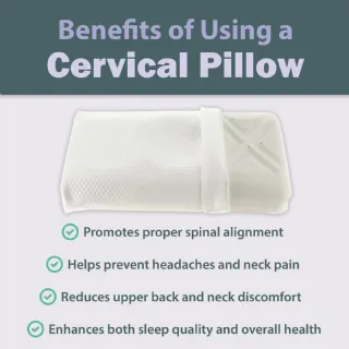 Tri-Core Ultimate Molded Foam Cervical Pillow For Firm Back and Side ...
