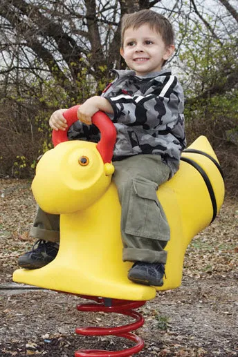 Spring Riders for Playground FOR SALE - FREE Shipping