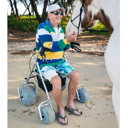 Wheeleez Wider All-Terrain Rollator - Beach Rollator with Padded Seat ...