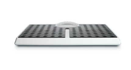 Bariatric Digital Floor Scale for Medical Patients - Seca 813