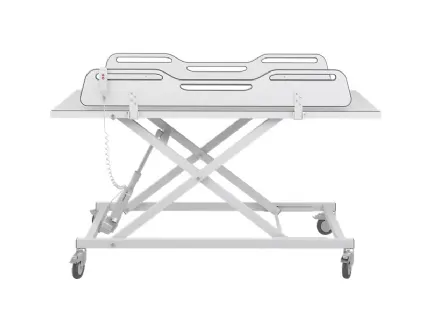Portable Adult Changing Table with Electric Height Adjustment, MCT 3 by ...