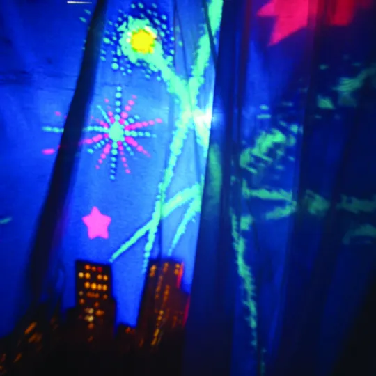 Projection Screen Curtain BUY NOW