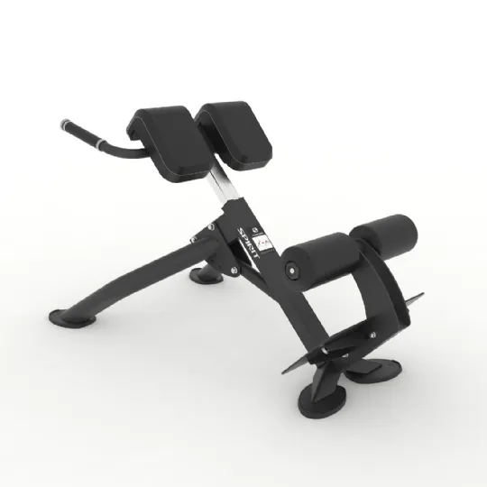 Back Extension Bench by Spirit Fitness with Adjustable Thigh Pads and ...