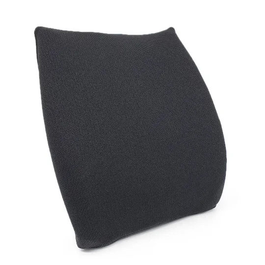 Ergo Curve Lumbar Support Cushion for Lower Back Pain Relief by ...