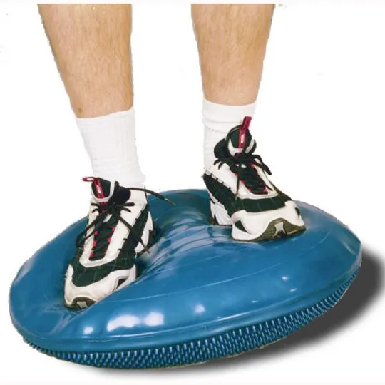DynaDisc Plus Balance Cushion ON SALE - FREE Shipping