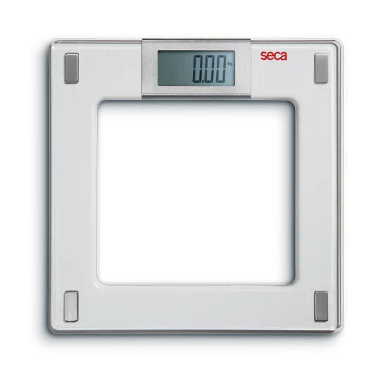 Seca 807 Glass Digital Floor Scale - FREE Shipping