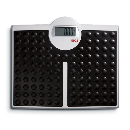 Bariatric Digital Floor Scale for Medical Patients - Seca 813