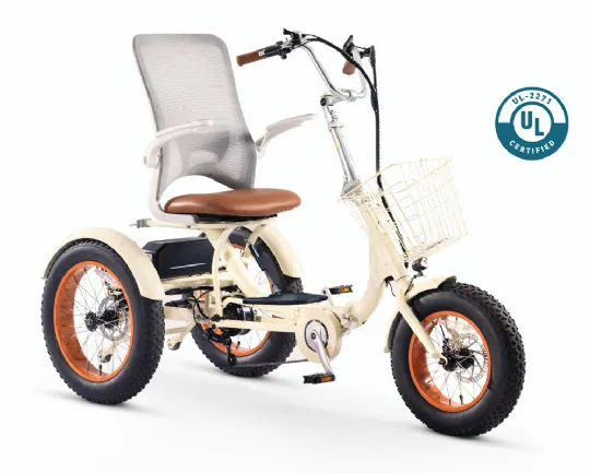 sixthreezero 750W 3-Wheel Recumbent Folding Electric Trike with Fat ...