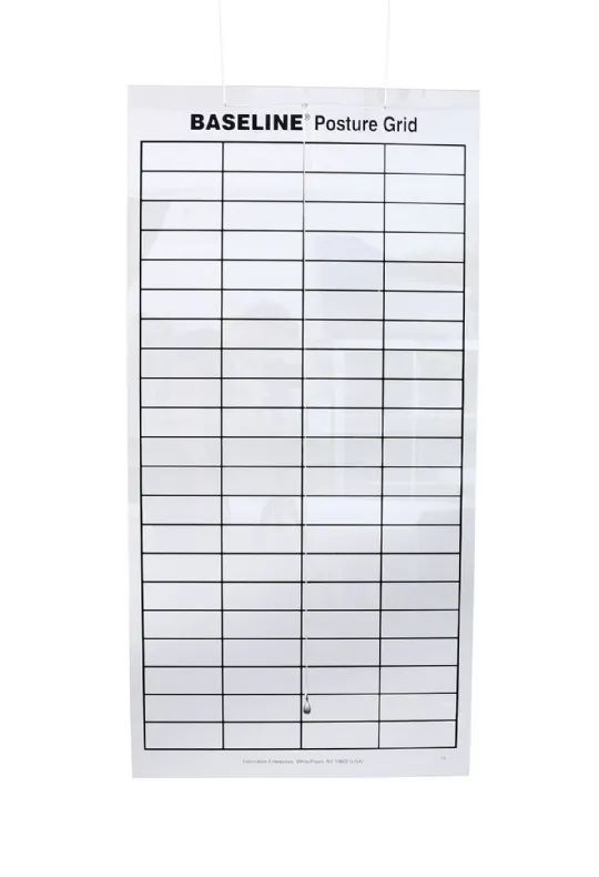 Baseline Physical Therapy Posture Evaluation Grid