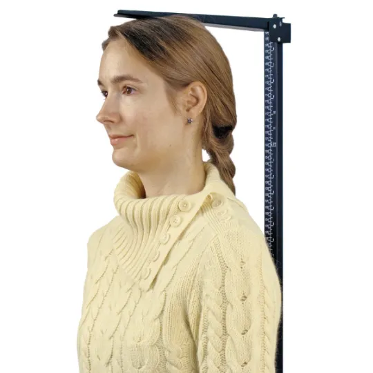 DETECTO Wall-Mounted Stadiometer - FREE Shipping
