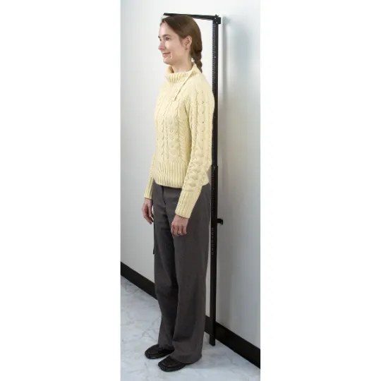 DETECTO Wall-Mounted Stadiometer - FREE Shipping