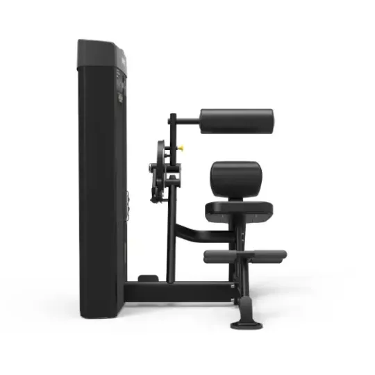 Back Extension Machine with Dual Ab Crunch Function by Spirit Fitness