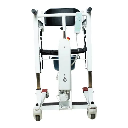 Dignity Lift Chair and Mobility Assist for Elderly and Disabled