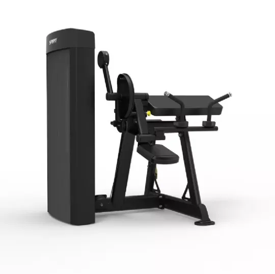 Tricep Extension Machine and Bicep Curl Machine by Spirit Fitness