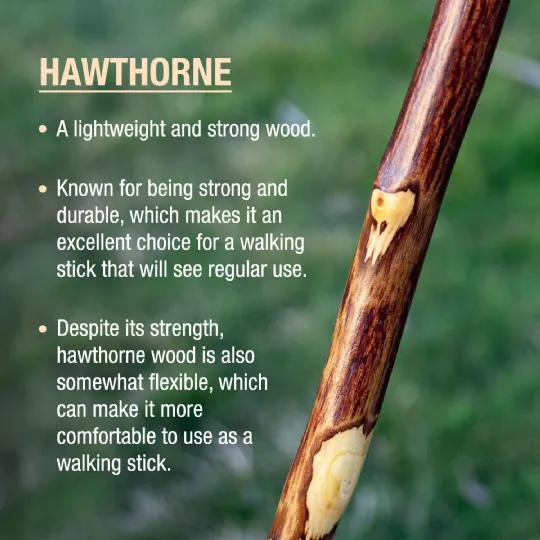 Brazos Hawthorn Wooden Walking Stick for Hiking and Mobility Support ...