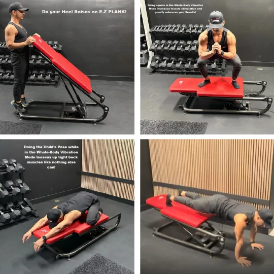 Abdominal Core Machine- Rehabilitation Patients-Sports Training-Whole ...