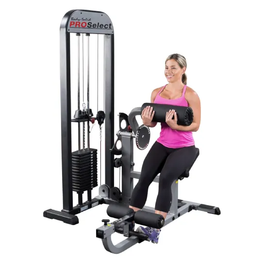 Selectorized Ab and Back Machine - FREE Shipping