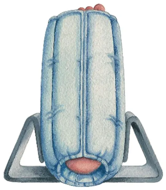 Skil-Care™ Bilateral Anti-Rotation Wedge