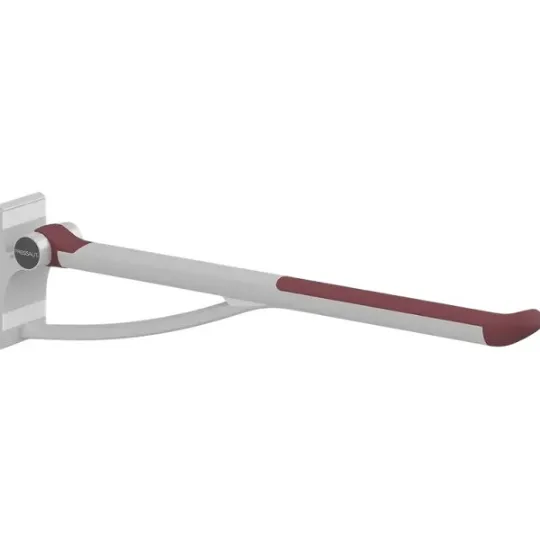 Wall Mounted Toilet Support Arms by Pressalit