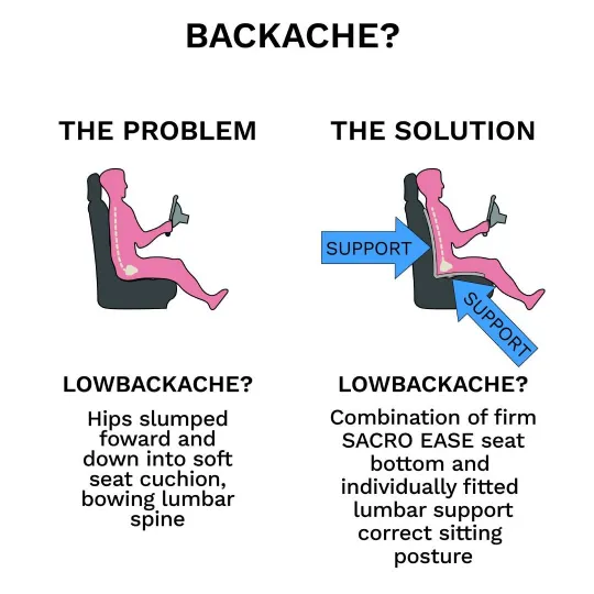 Sacro Premium Lumbar Support Seat Cushion for Back Pain Relief and ...