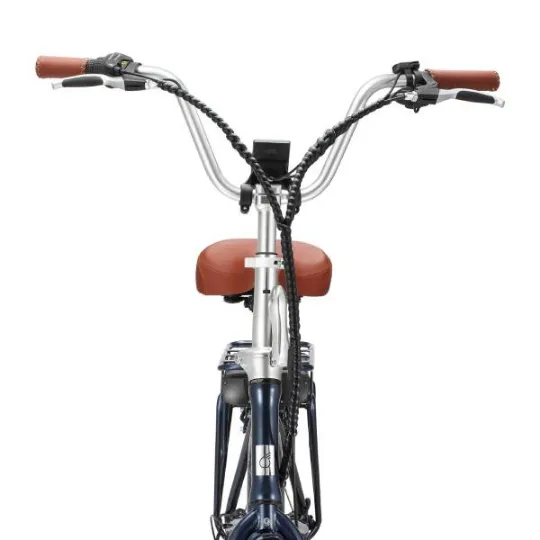 Simple Step-Thru 20 Inch Electric Bike 500W Motor for Comfortable ...