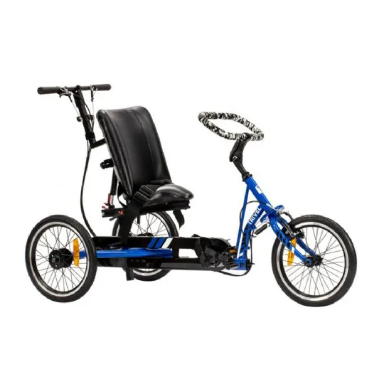 Trivel T-250 Pediatric Adapted Tricycle for Special Needs