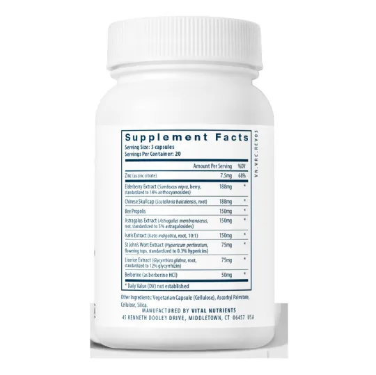 Zinc Citrate and Elderberry Immune System Support Supplement